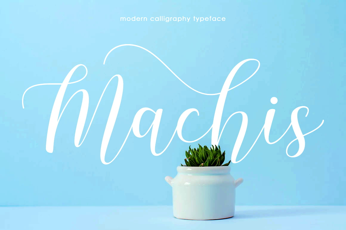 Machis - Absonstype